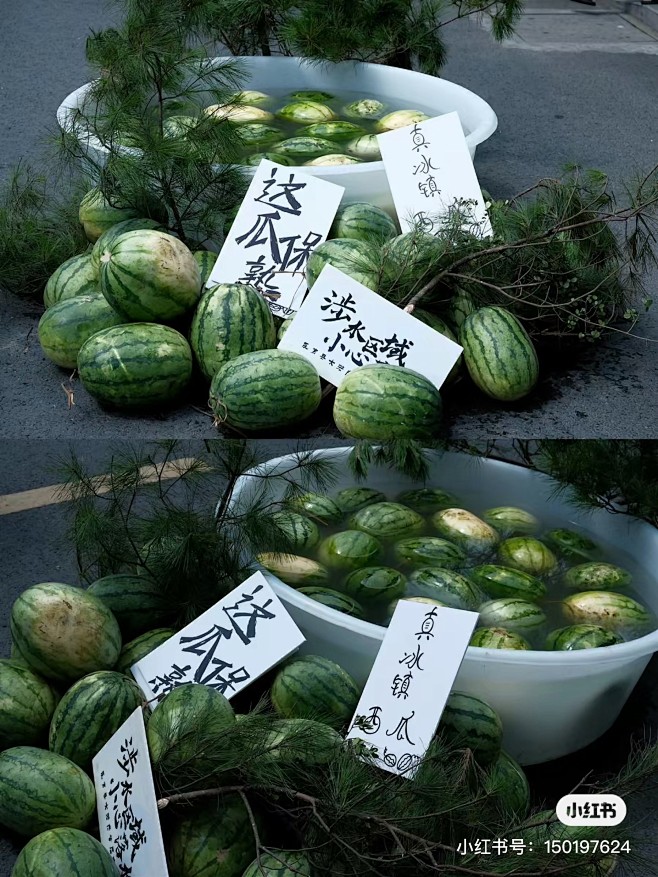 IMG_1978(20240311-145300)