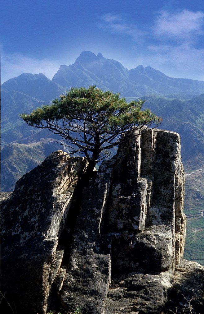 社会水太深 不如出去走走