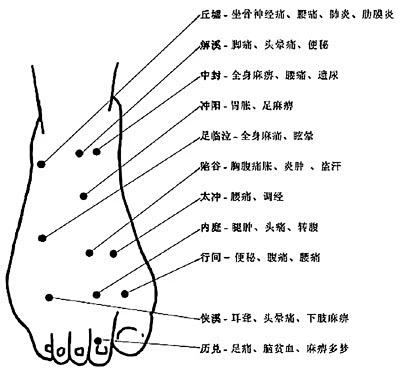 足部穴位图的搜索结果_360图片搜索-花瓣网