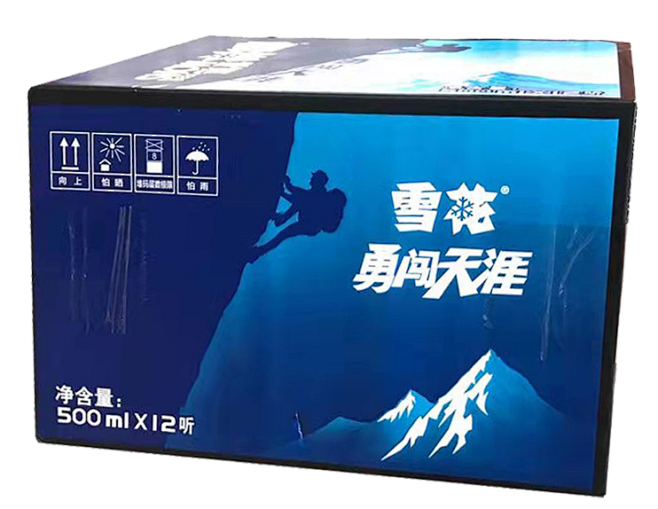 雪花勇闯天涯8度500mlx12