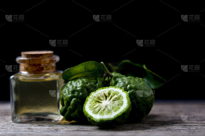 Bergamot, herb that