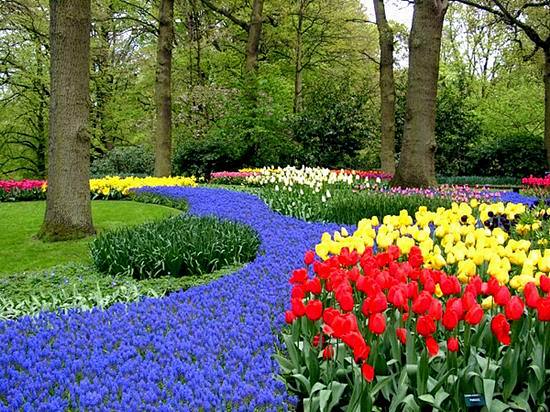 荷兰库肯霍夫(keukenhof)公园35