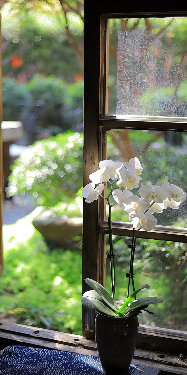 心存善良，万物晴朗，见者有份，好事发生。 #手机壁纸