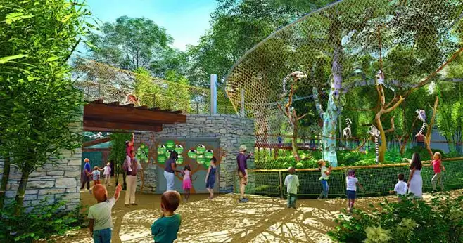 St Louis Zoo debuts plans for innovative primate habitat : Primate ...
