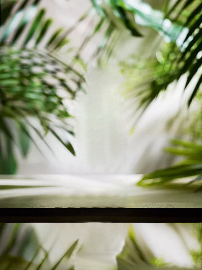 5454545_看图王.web-花瓣网