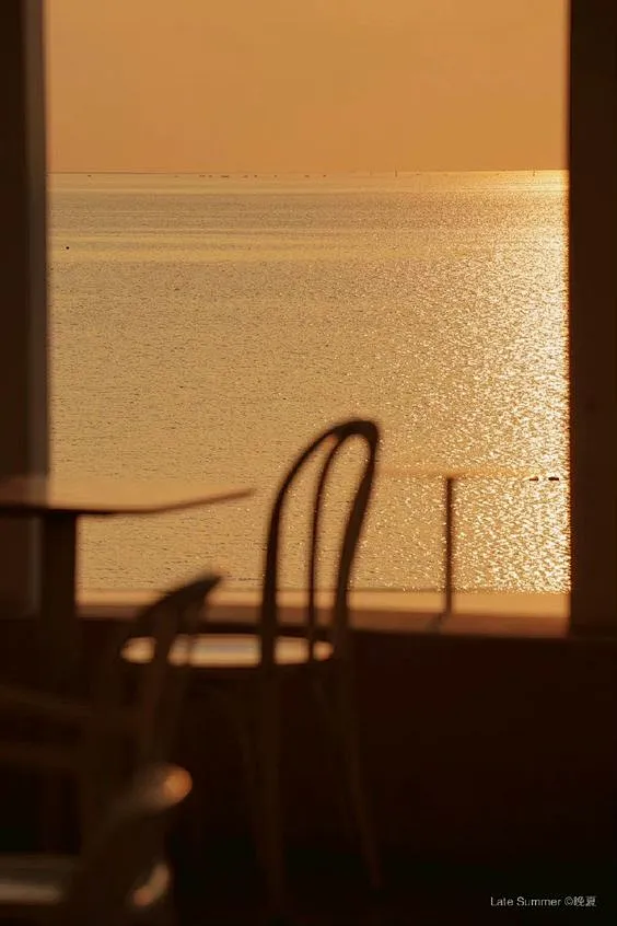 (39) Pinterest-花瓣网