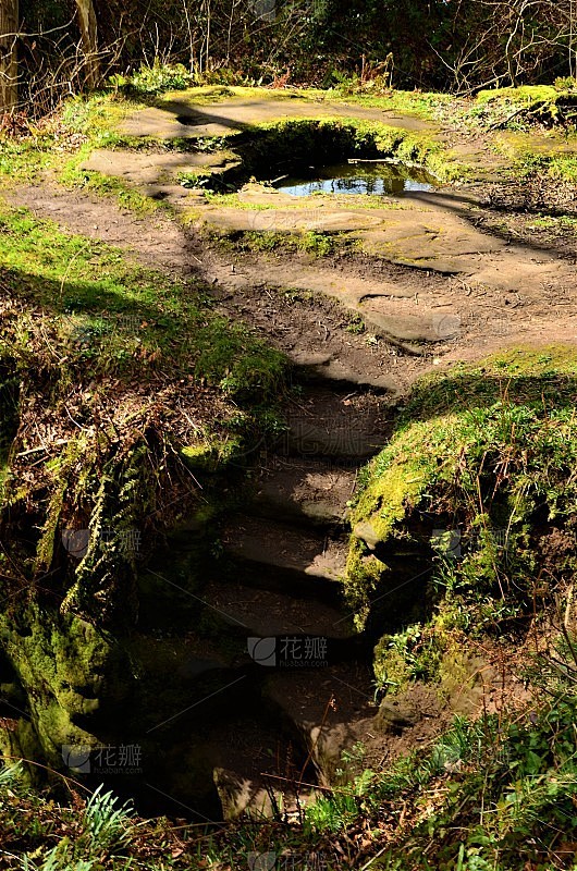 苏格兰风景画- Dunino Den