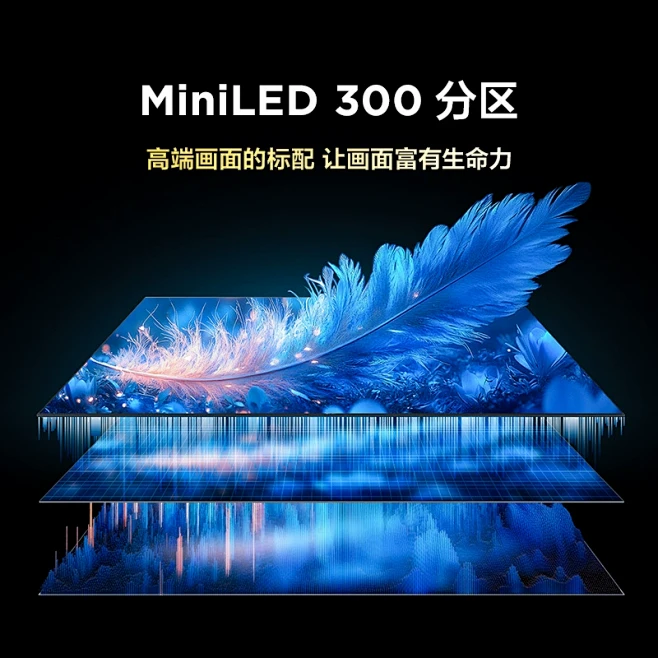 TCL雷鸟鹤6 25款75英寸MiniLED分区288Hz高刷平板电视政府补贴-tmall.com天猫-花瓣网