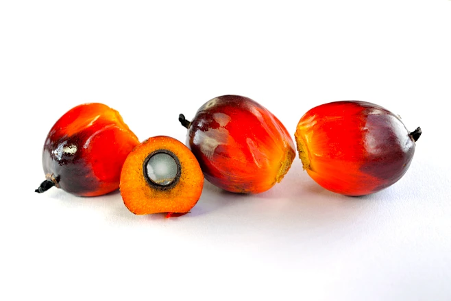 file:///D:/%E6%A1%8C%E9%9D%A2%E6%95%B0%E6%8D%AE/%E8%8A%B1%E7%93%A3%E7 ...