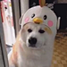 01rgfc4hvsdgevvxumgehp3130