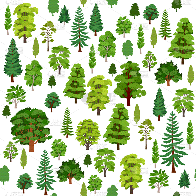autumn forest trees pattern a woodland background