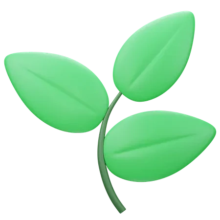Leaf 3D Icon