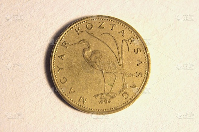 Five Forint Stork
