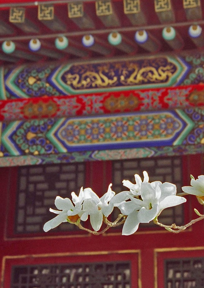 9)Beijing Spring -1989