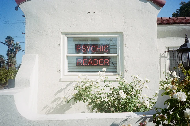 The Garden Party - DAN MONICK - Portfolio Two : The Garden Party - DAN ...