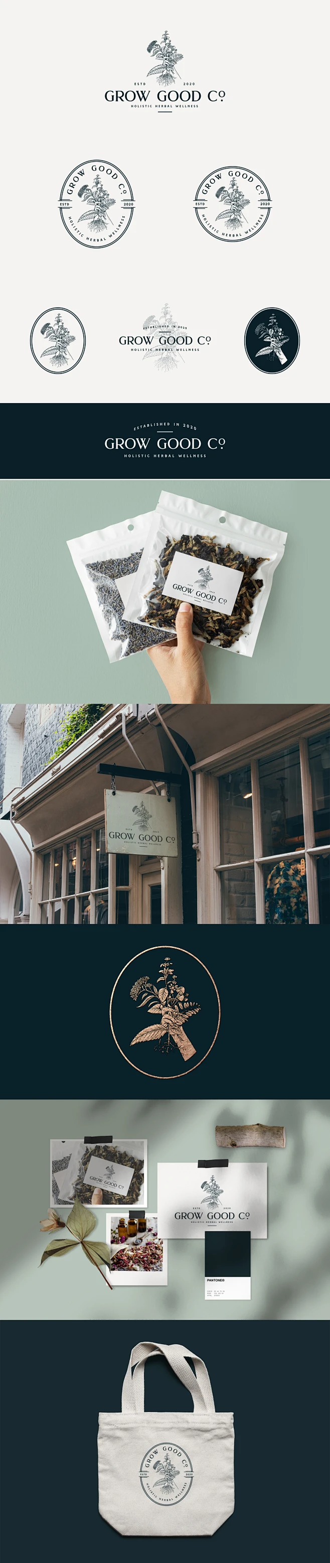 Grow Good Co | 99designs : Grow Good Co Botanical holistic herbal wellness logo design with hand ...