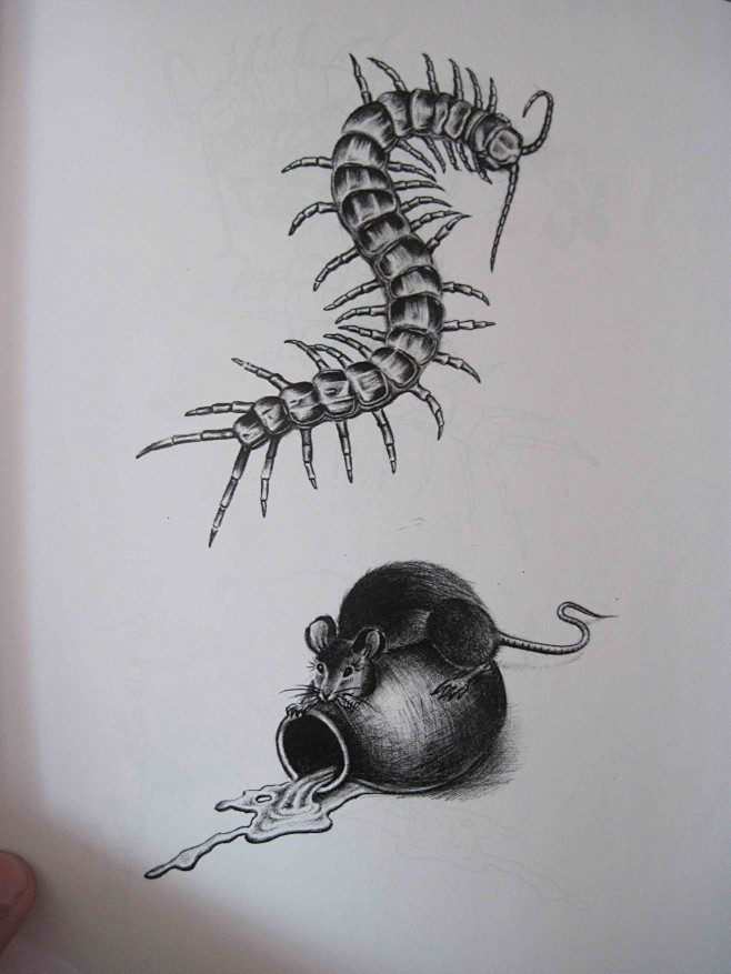 QQ78861844_75067 (85).jpg