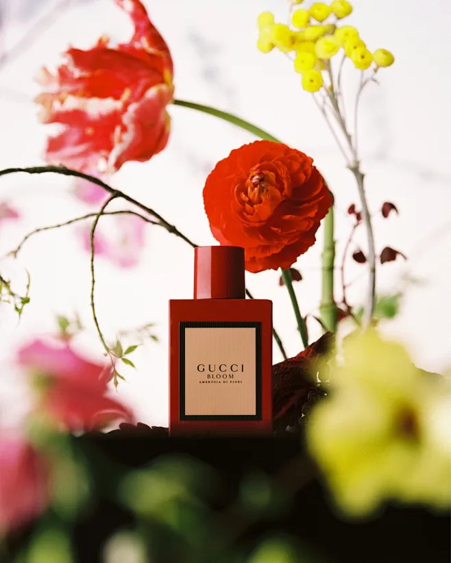 (42) Pinterest-花瓣网