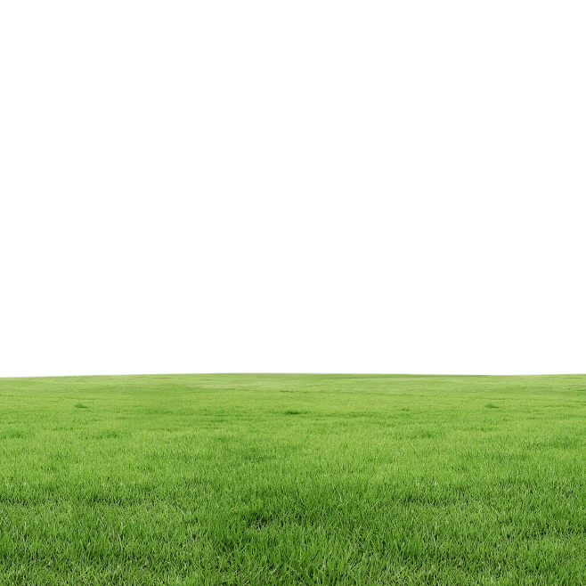 Grass-Ground-PNG-Free-Download.png (2953×2953)-花瓣网