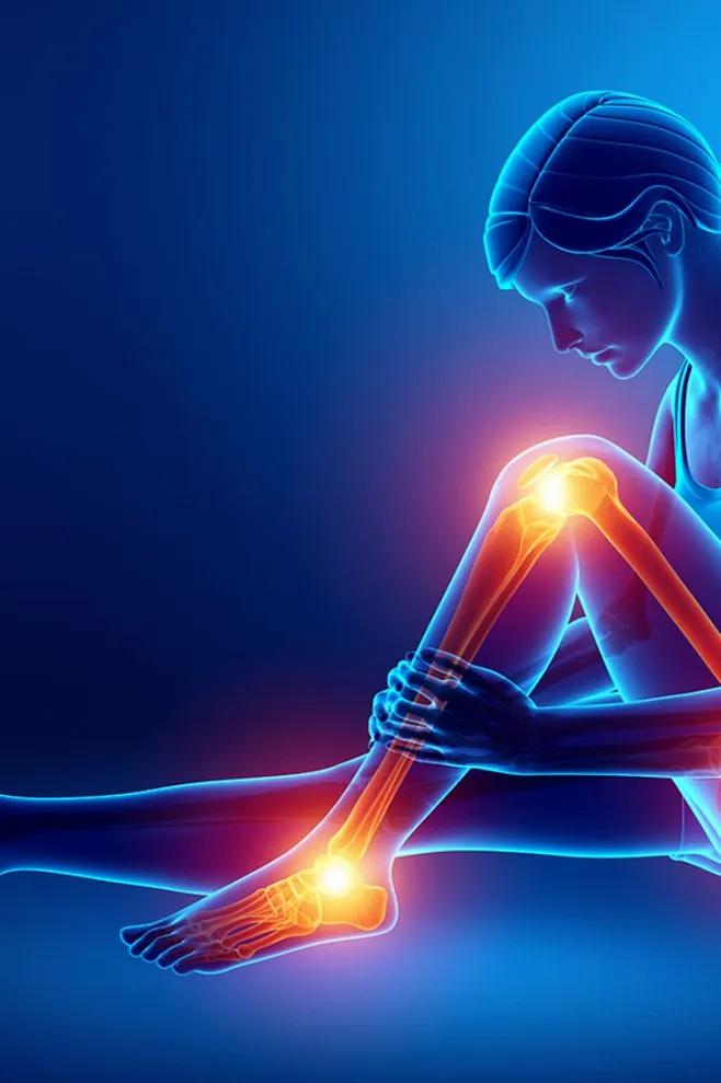 c011a75f-34c2-4746-95b9-e2e6e56464cd-花瓣网