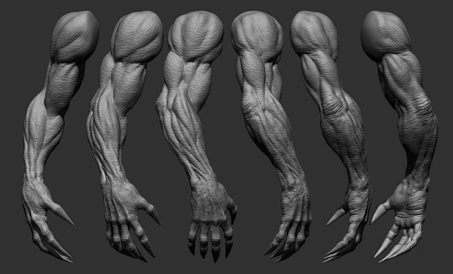 Creature arms-花瓣网