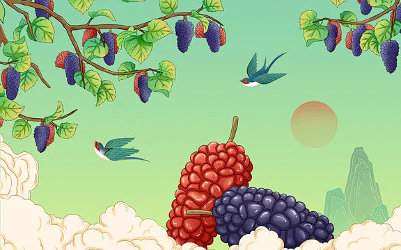 国风桑葚手绘插画-花瓣网