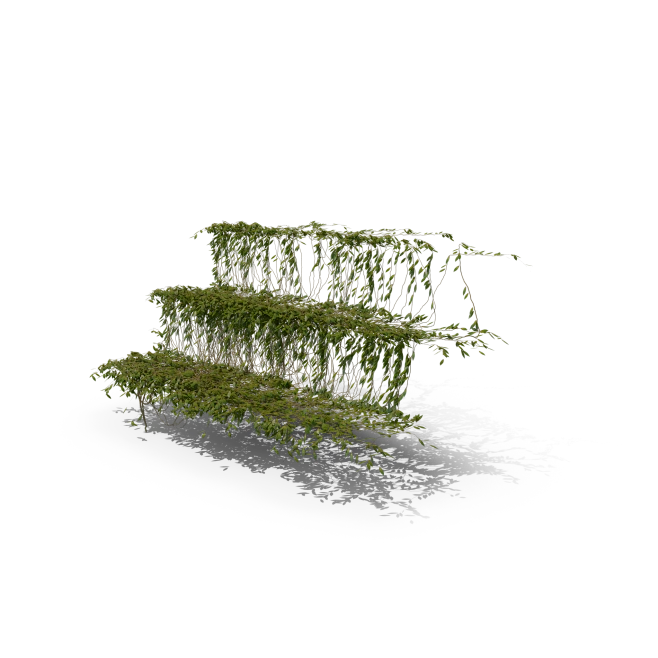 Ivy Stairs Shape.H03.2k-花瓣网