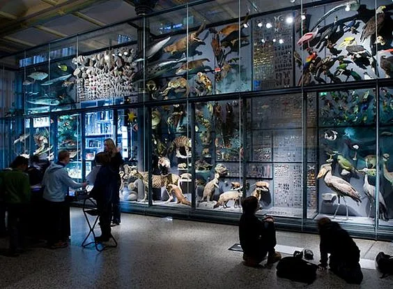 The biodiversity wall in the exhibition hall "Evolution in Action ...