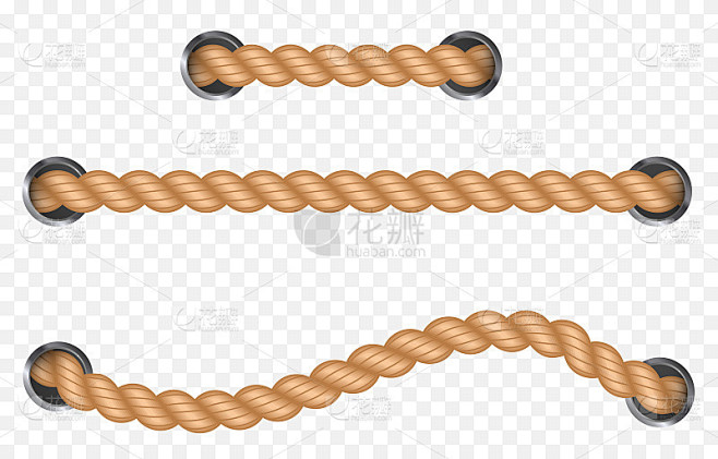 航海绳索矢量集png。航海用的绳子，鞭子在孤立透明的背景上。直绳或绞绳PNG。装饰元素。