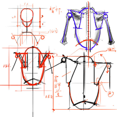 人体结构（2D）-花瓣网|陪你做生活的设计师 | 肖壮悦x-tiger_新浪博客