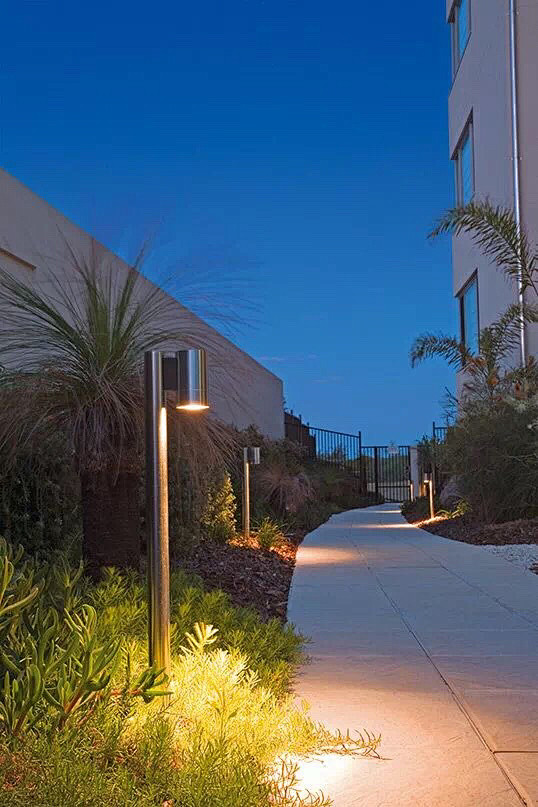 IMG_1494.JPG 538×807 pixels