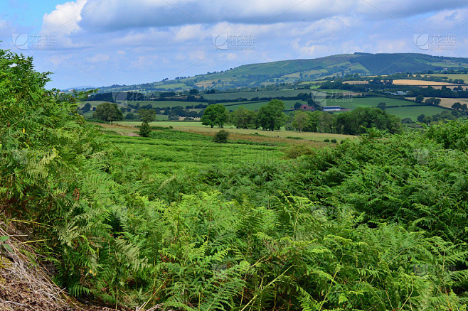 什罗浦郡Cleeton视图