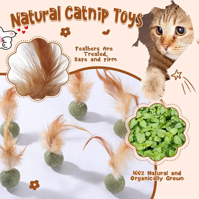 Amazon.com : HyDren 6 Pcs Interactive Cat Toy Catnip Feather Ball ...