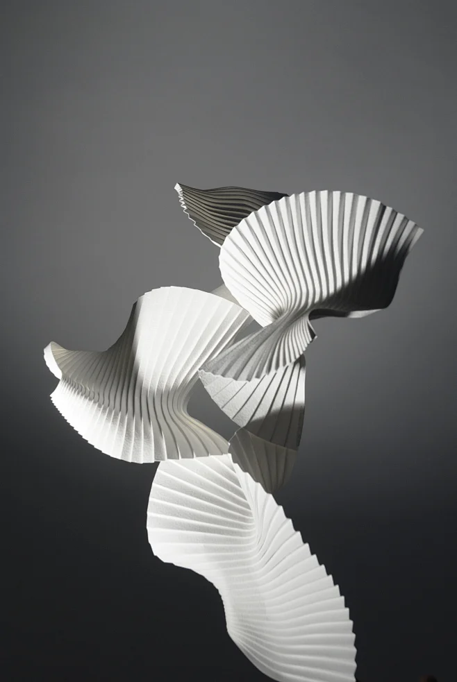 Experimental pleat (Bird in Flight) : Created using hand-pleated, wet ...