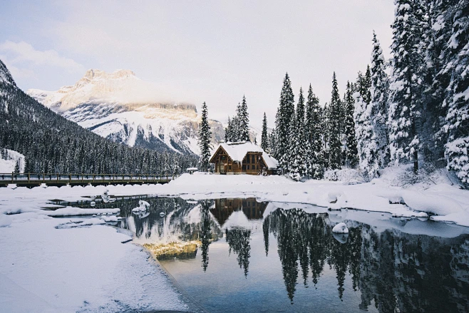 Flow / 500px-花瓣网