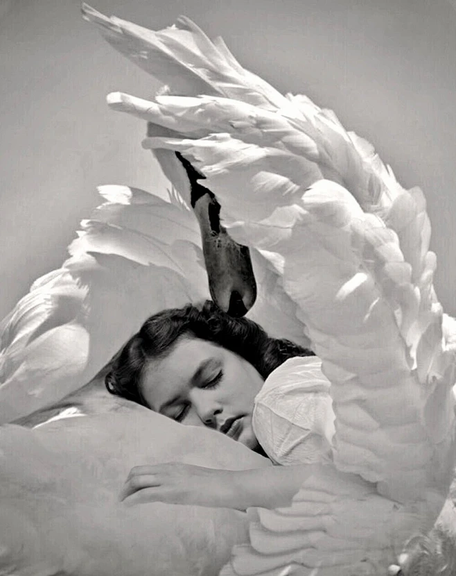 robin_isely • 关注 303次赞图片_待分类图片素材-花瓣网