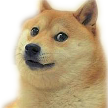 doge