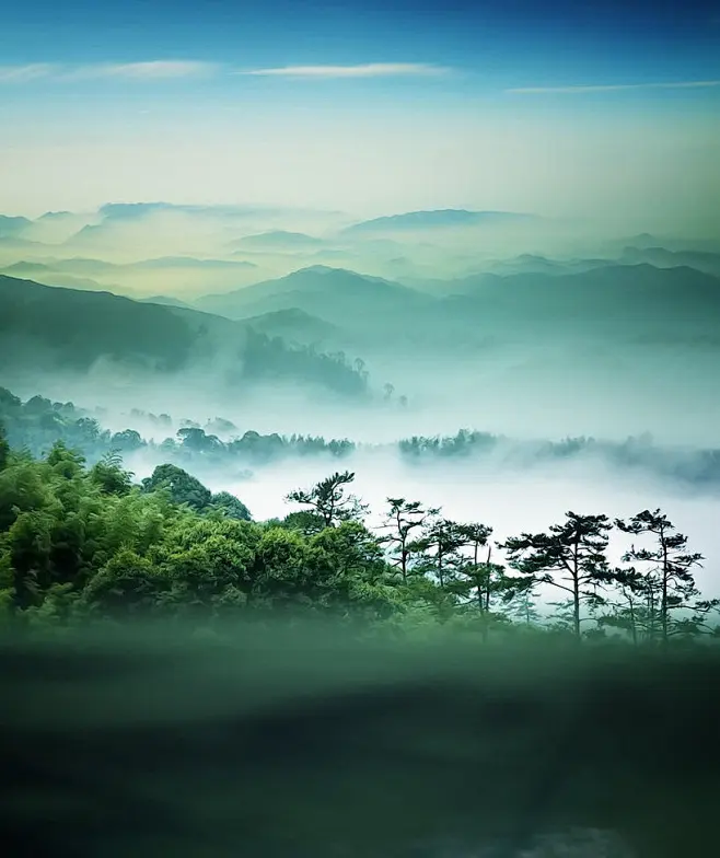 生态图-33-花瓣网