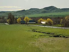 Tim Allen Lawson 蒂姆·艾伦·劳森 美国画家, (1963-)-花瓣网