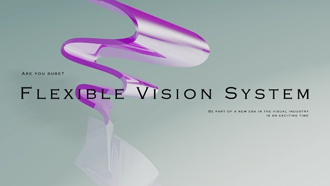 Flexible Vision System-花瓣网