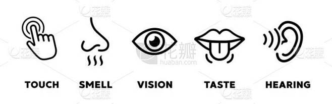 五个感官向量图标设置。视觉、听觉、触觉、味觉、嗅觉