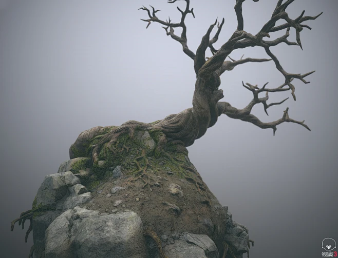 花瓣灵感详情页-花瓣网