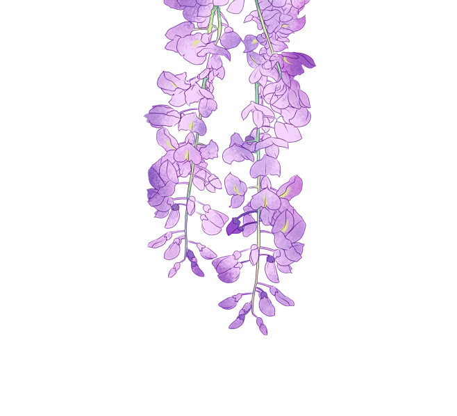 83d1ebe9f9a24c1db188256203b769e8~noop.image (1748×1588)-花瓣网