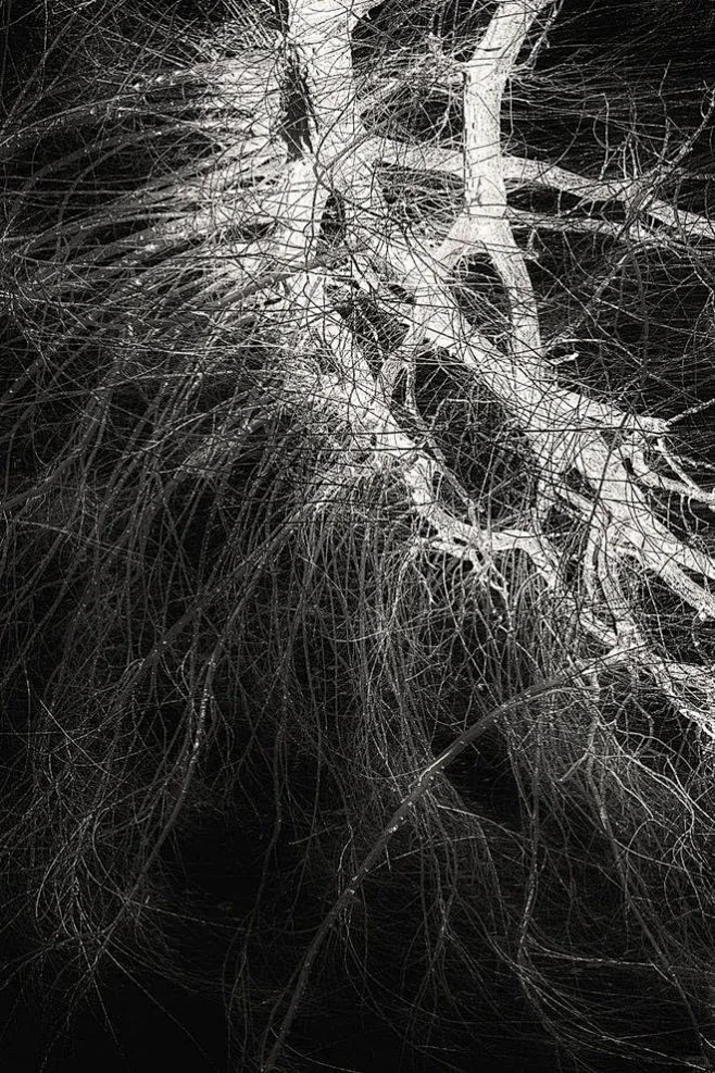 留白｜Sasa Gyoker_10_心象艺术_来自小红书网页版-花瓣网