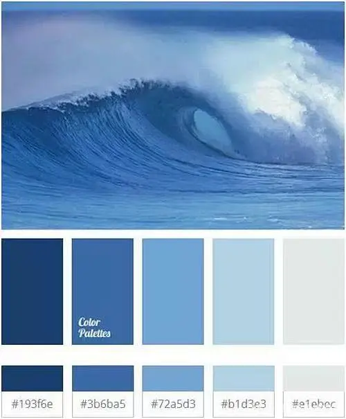 色彩搭配色卡_百度图片搜索-花瓣网