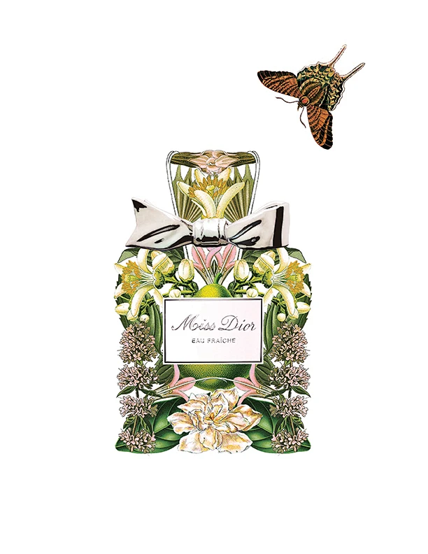 Adobe Portfolio perfume cologne collage flower floral butterfly ...