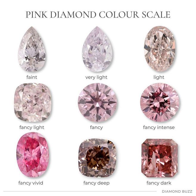 IMG_5462(20231004-023915)