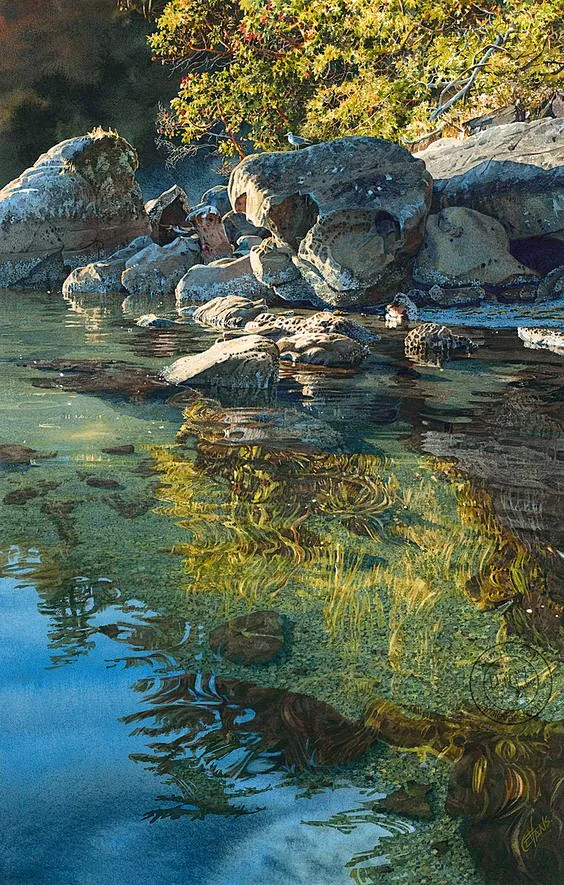 Golden Light — Watercolors by Carol Evans: -花瓣网