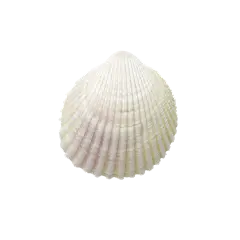 底纹素材图片大全-底纹素材高清好看的图片--花瓣xxdhz-qy的画板