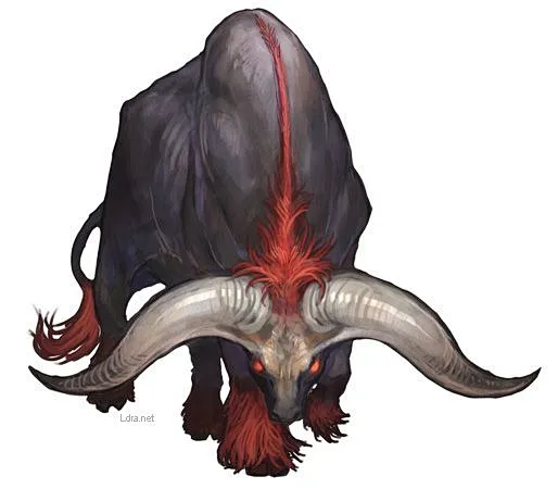 Big black and red horned bull-花瓣网